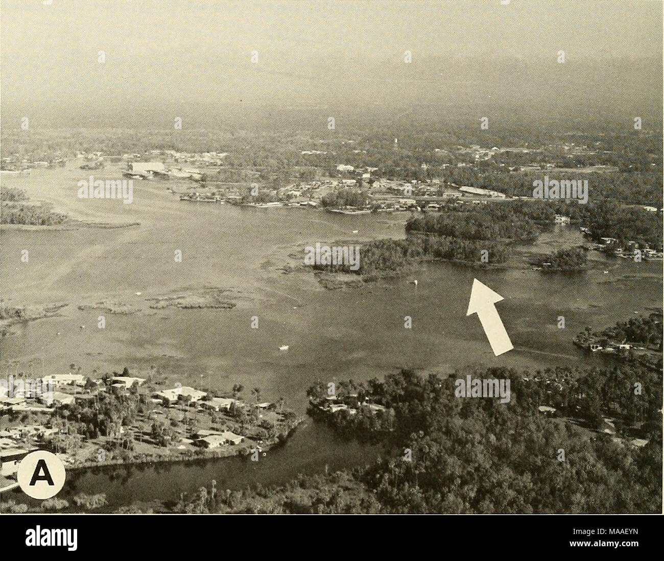 Crystal river florida aerial hi-res stock photography and images - Alamy