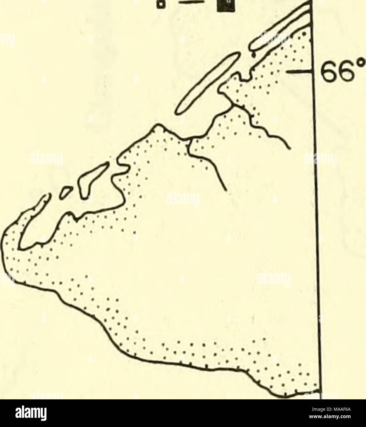 Northern fulmar chukchi sea hi-res stock photography and images - Alamy