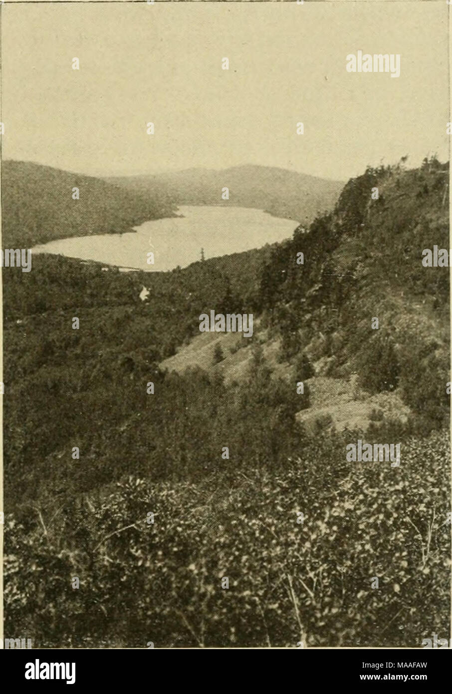 . An ecological survey in northern Michigan . Fig. 10. Escarpment of ...