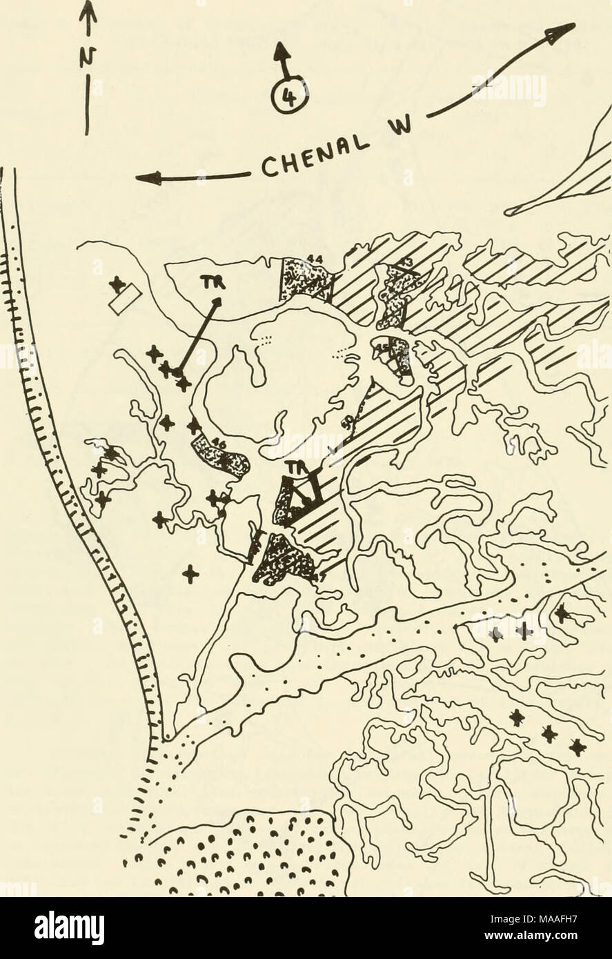 . Ecological study of the Amoco Cadiz oil spill : report of the NOAA ...