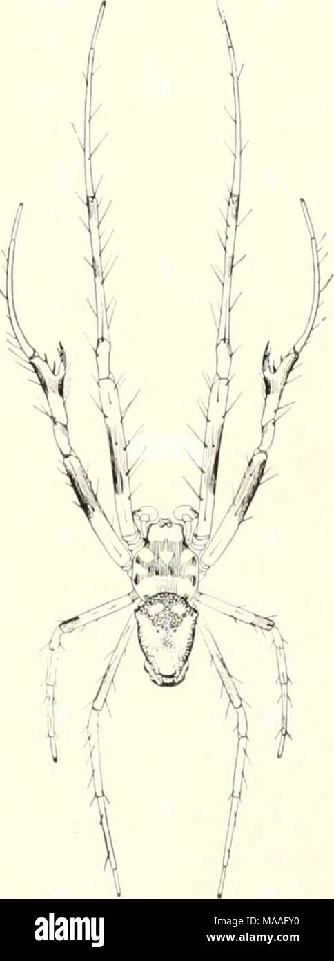 . An ecological study of prairie and forest invertebrates Stock Photo ...