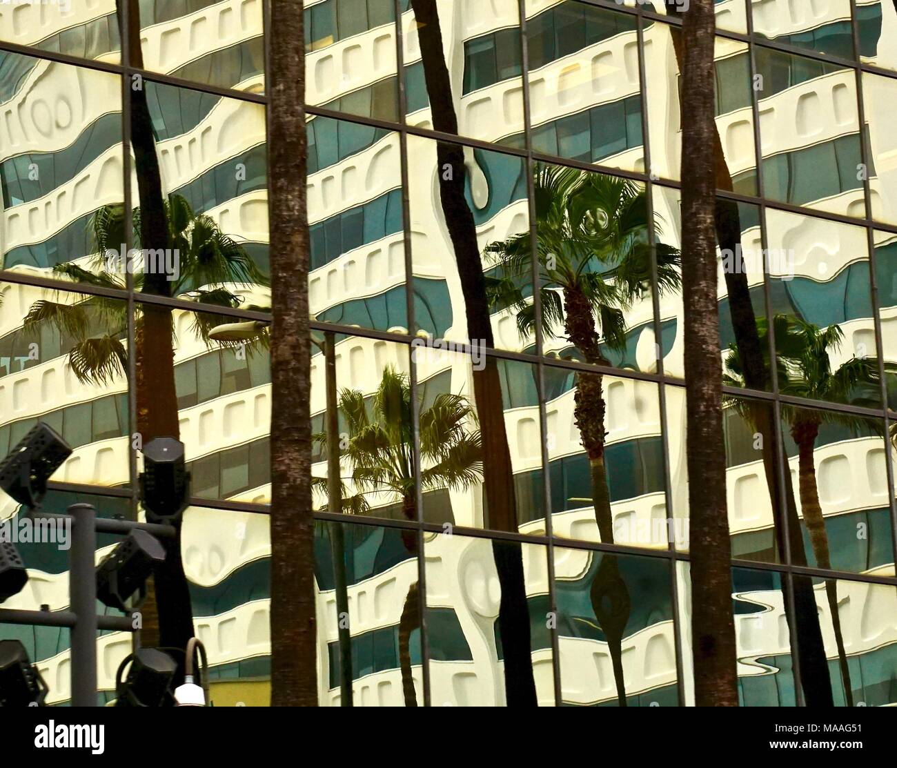 Abstract palm hi-res stock photography and images - Alamy