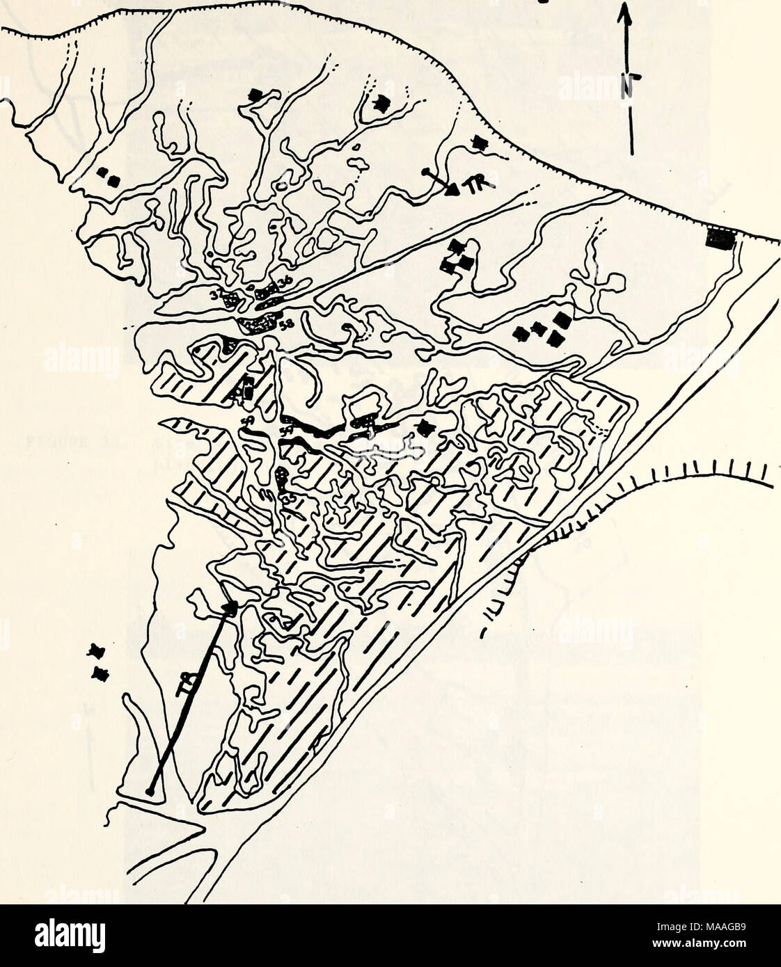 . Ecological study of the Amoco Cadiz oil spill : report of the NOAA ...