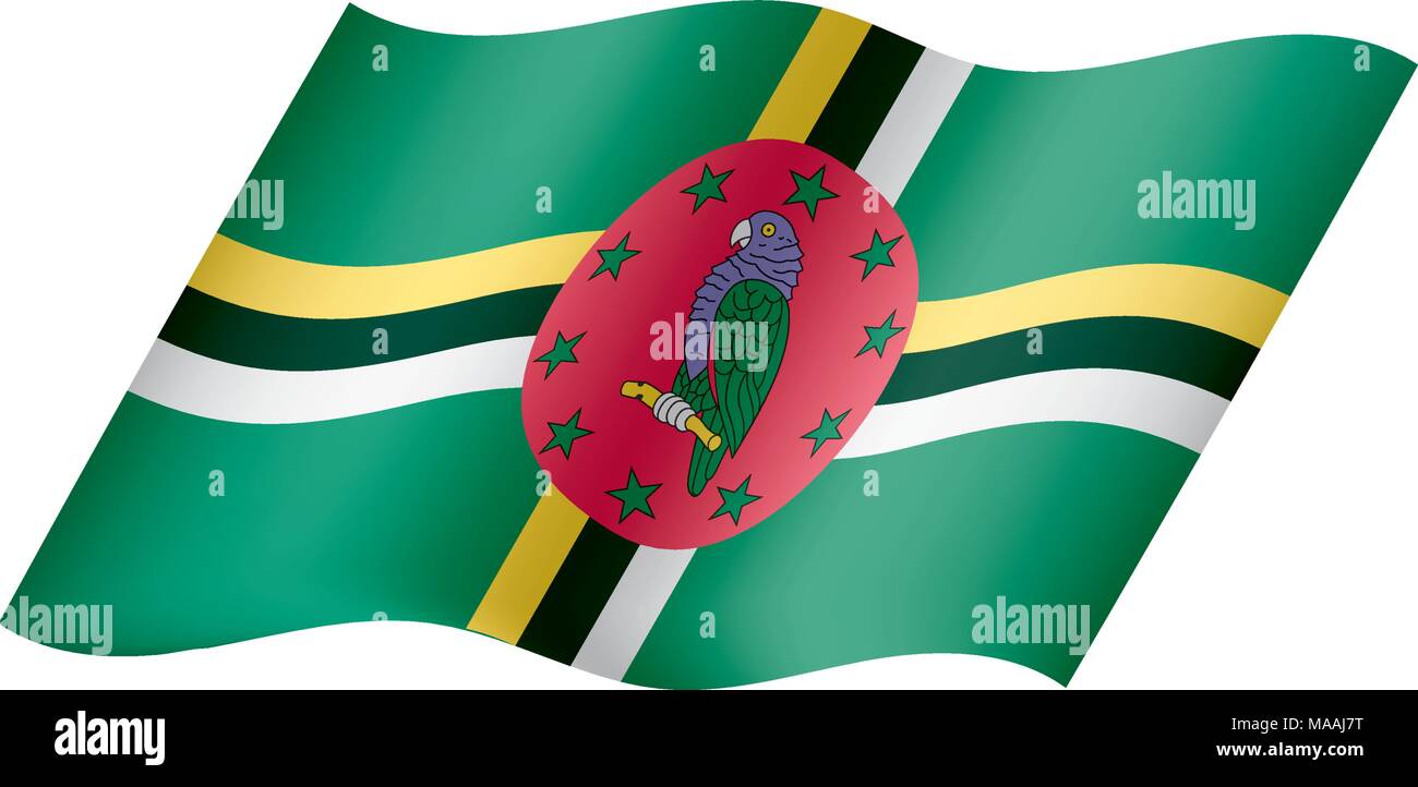 Dominica flag, vector illustration Stock Vector Image & Art - Alamy