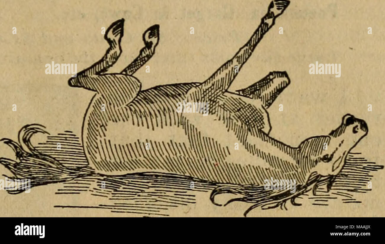 Spasmodic muscles hi-res stock photography and images - Alamy