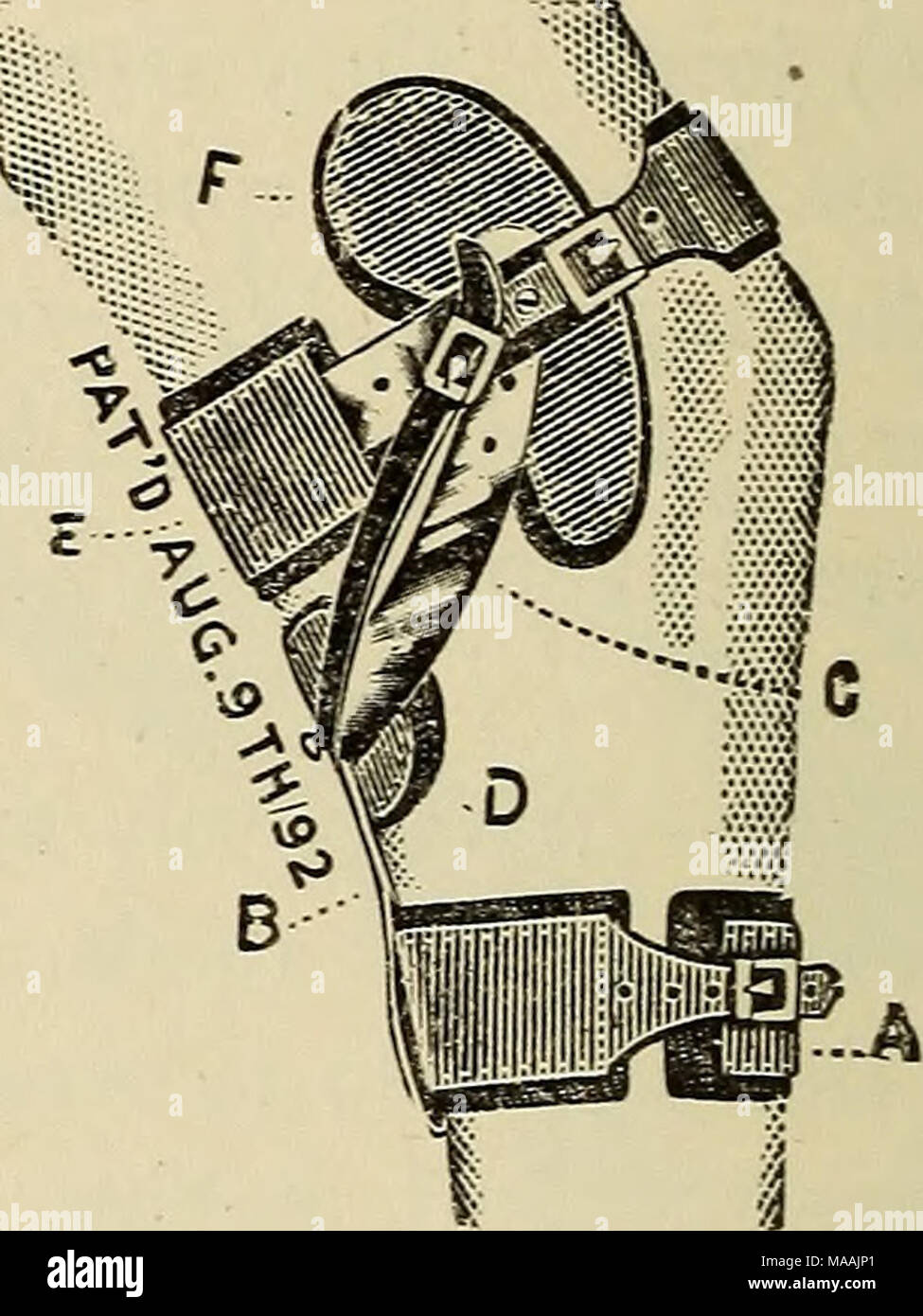 Bone spavin hi-res stock photography and images - Alamy