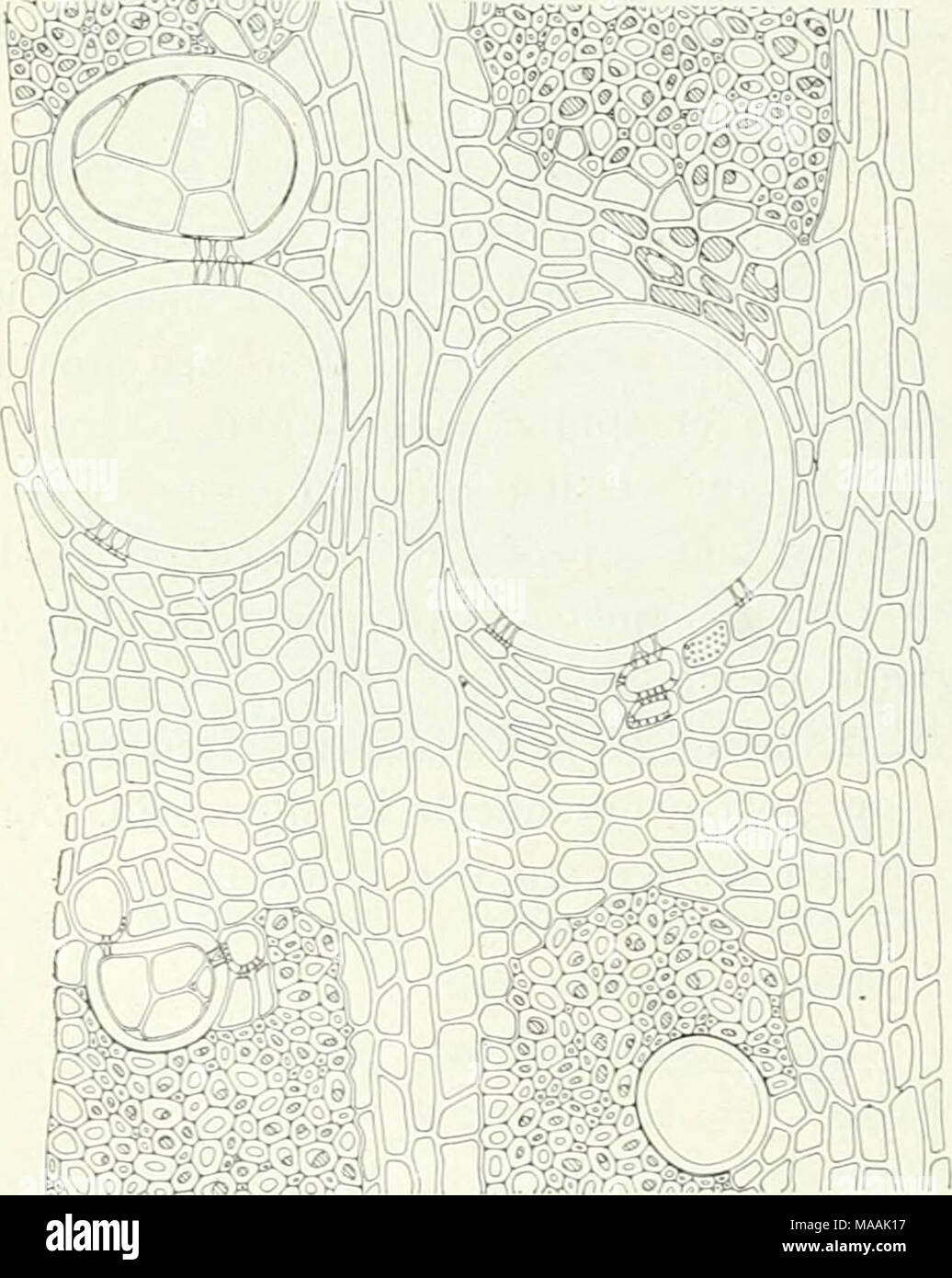 . Dr. K.W. van Gorkom's Oost-Indische cultures. Opnieuw uitg. onder ...