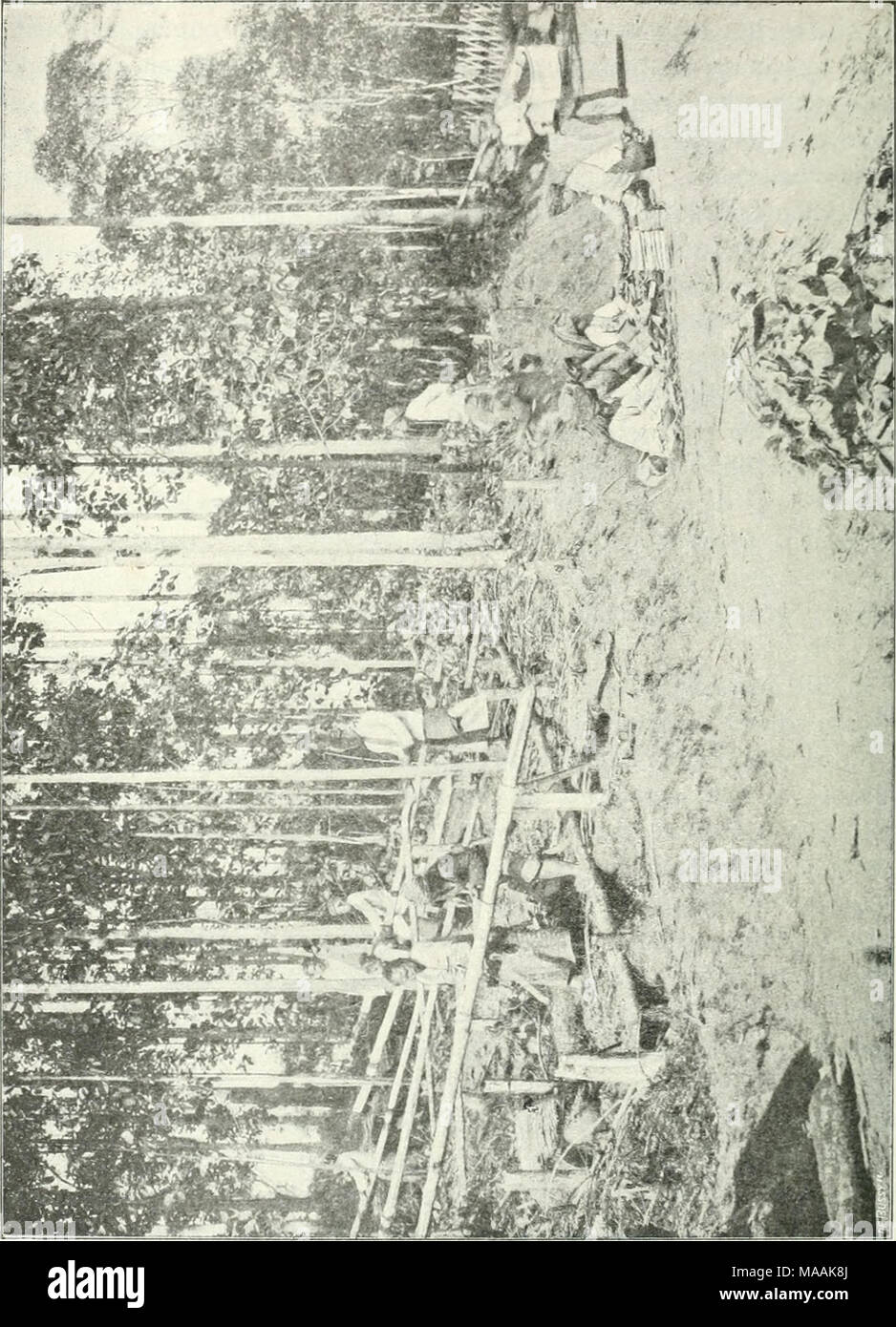 Farming_challenges hi-res stock photography and images - Alamy