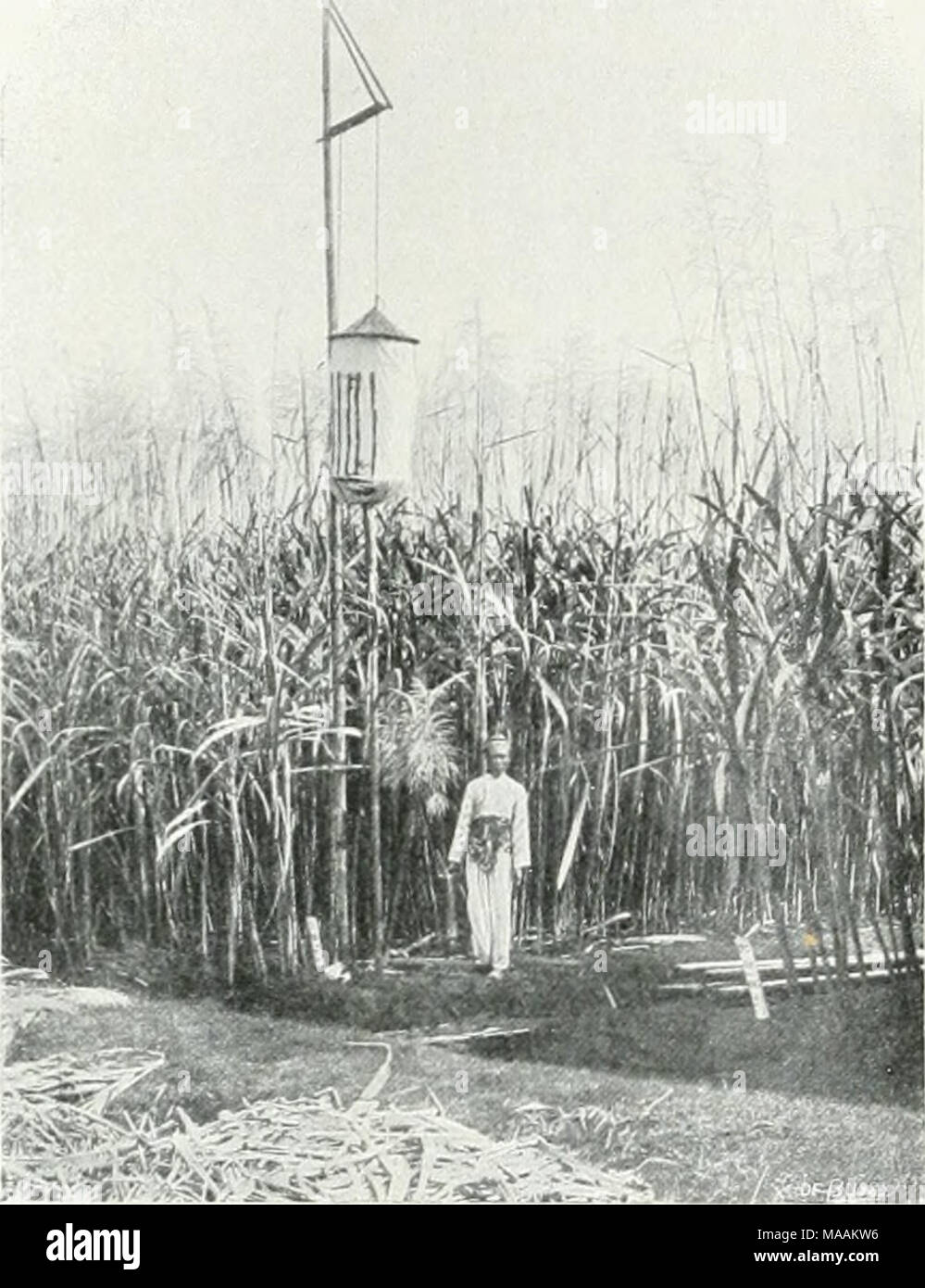 . Dr. K.W. van Gorkom's Oost-Indische cultures. Opnieuw uitg. onder ...