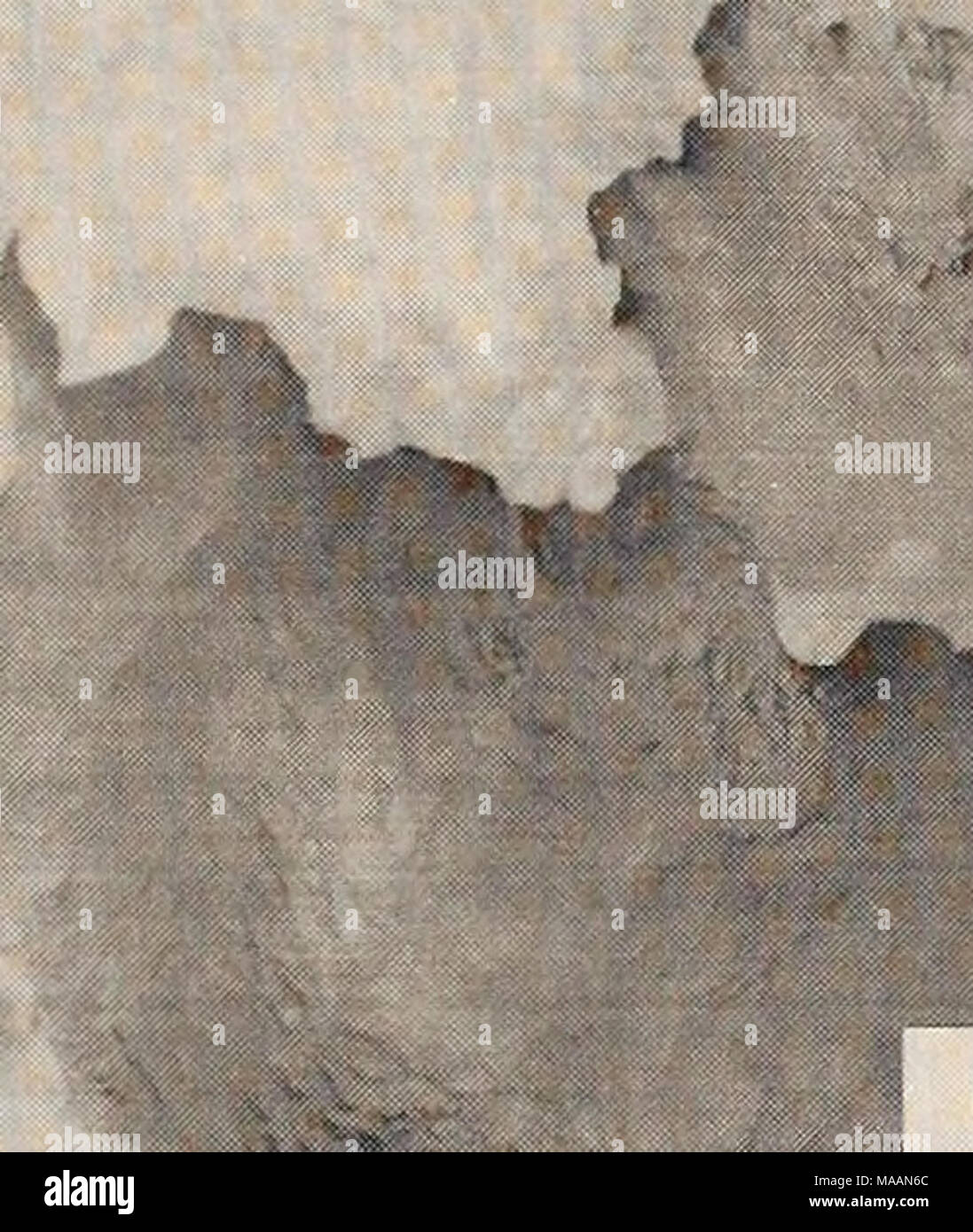 . The Eastern Bering Sea Shelf : oceanography and resources / edited by ...