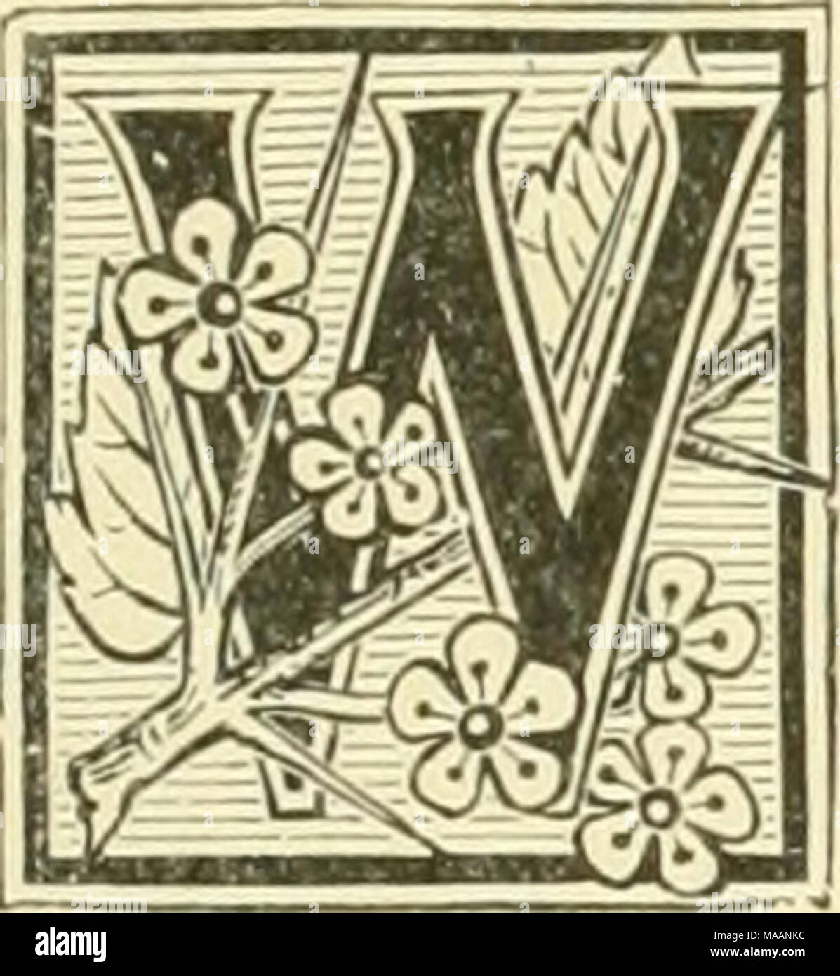 Five narrow borders hi-res stock photography and images - Alamy