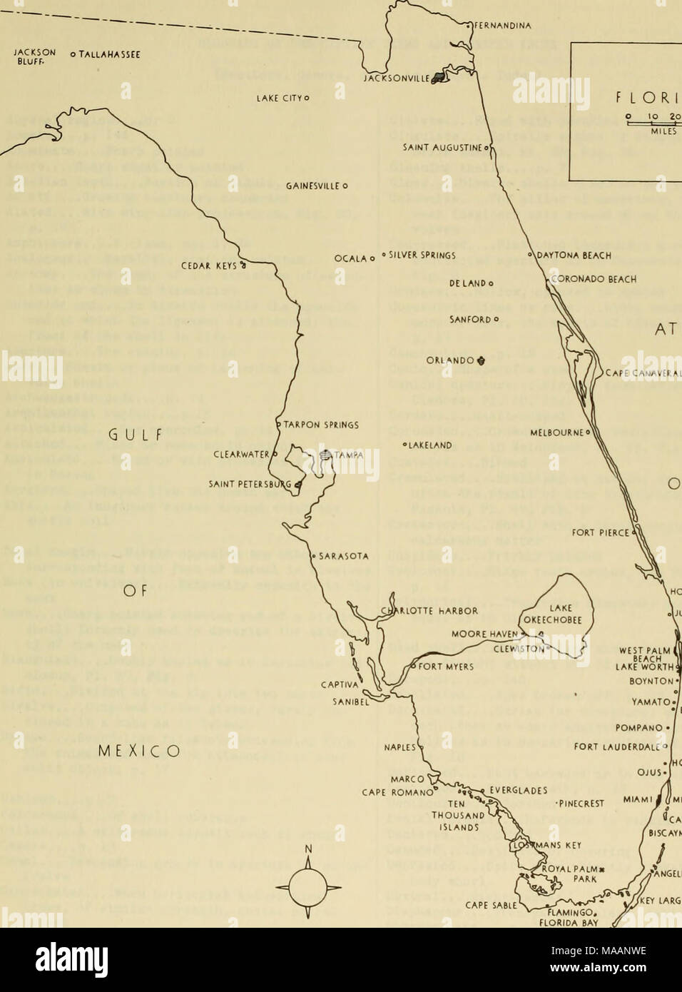 Lignumvitae florida hi-res stock photography and images - Alamy