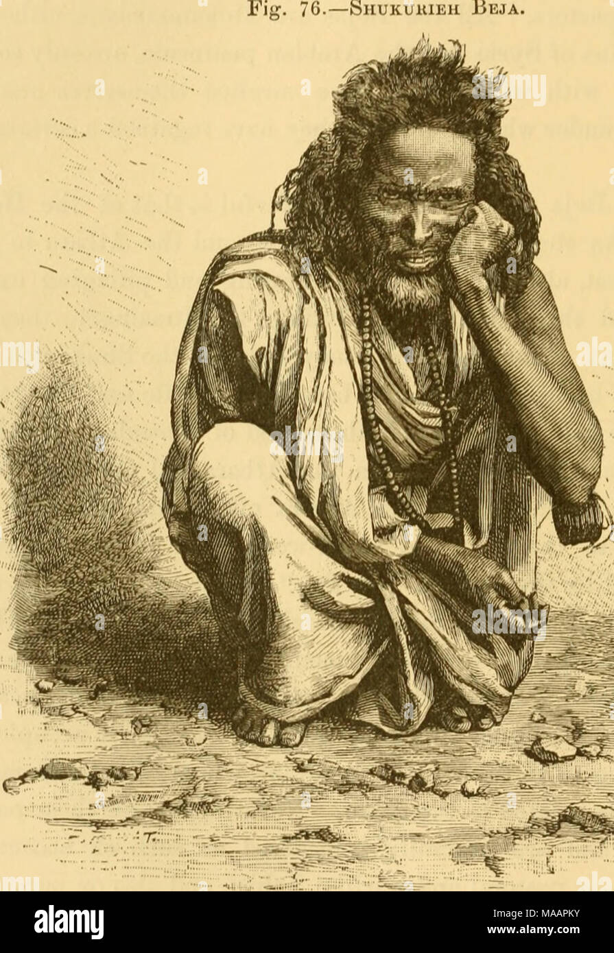 Stoutness hi-res stock photography and images - Alamy