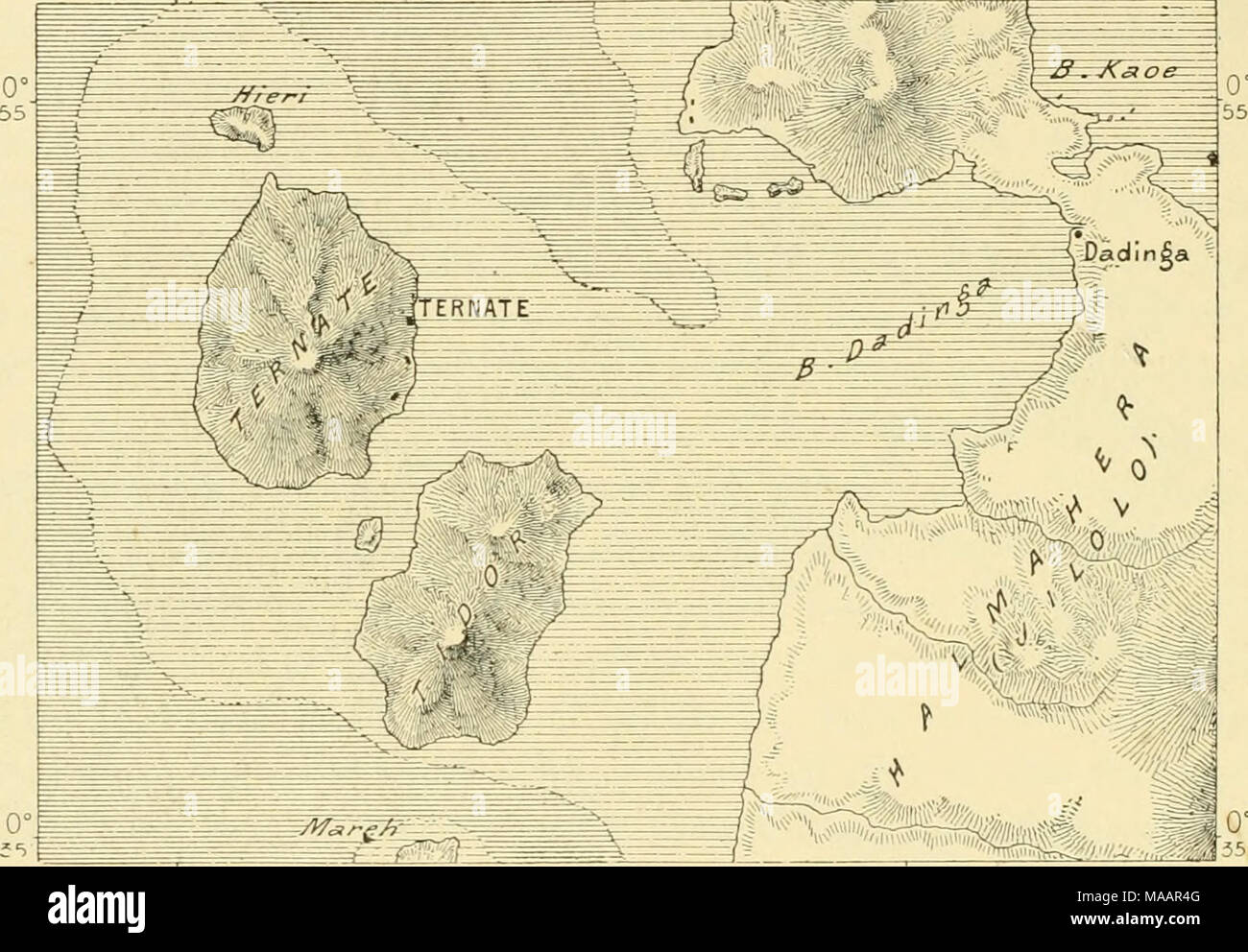 Aquiline nose hi-res stock photography and images - Alamy