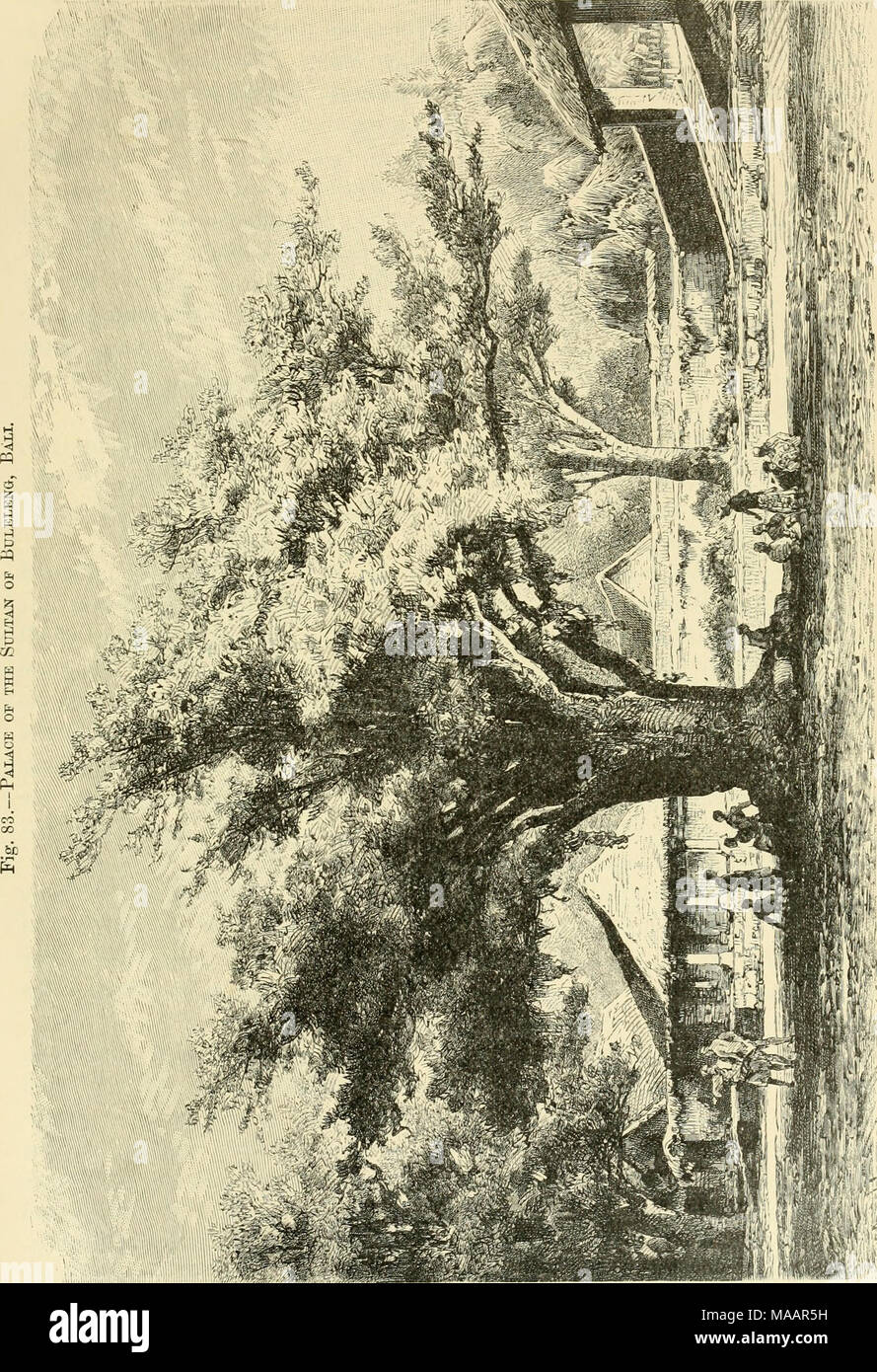 . The earth and its inhabitants .. . most of the men and women of the ...