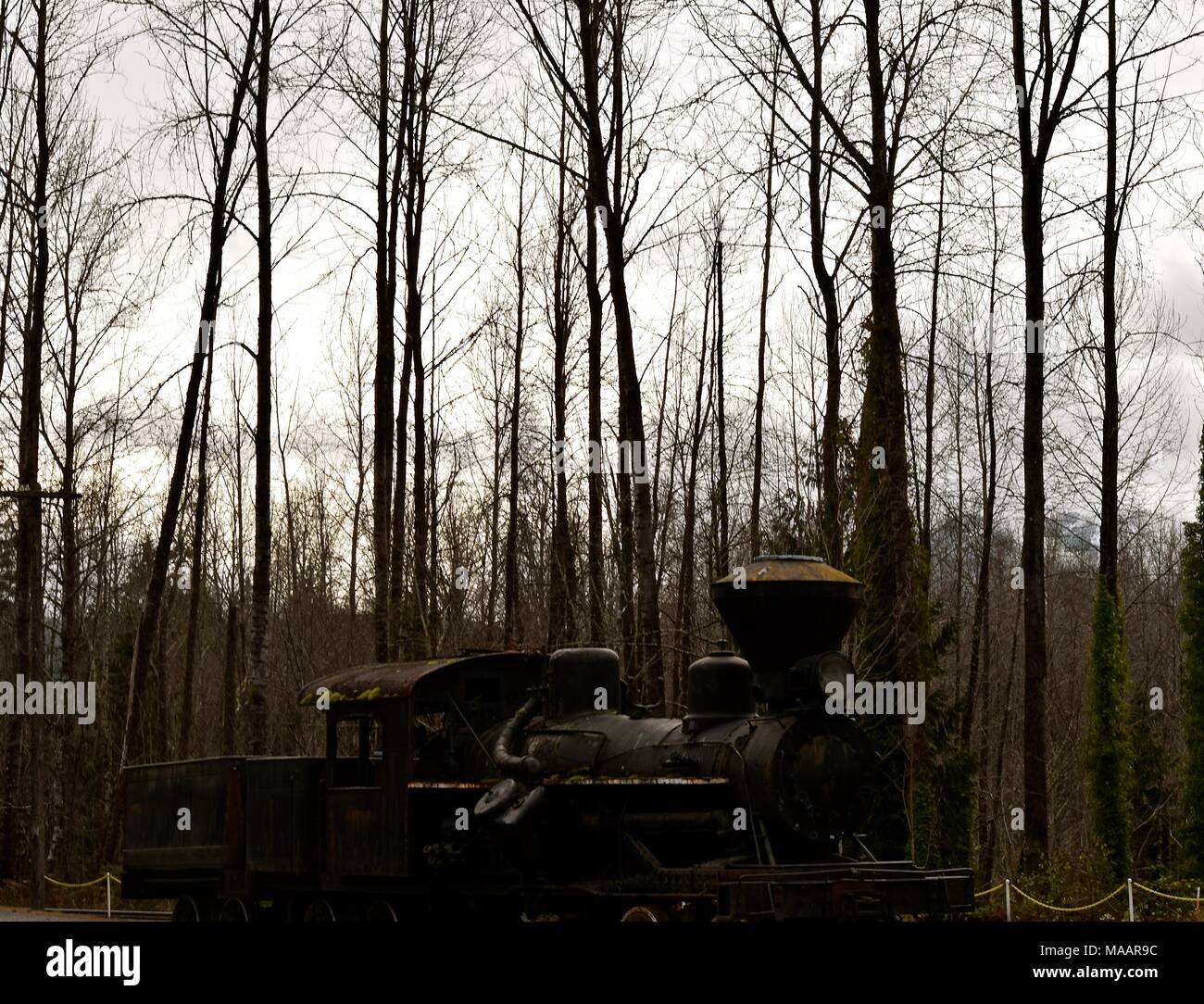 Geared locomotives hi-res stock photography and images - Alamy