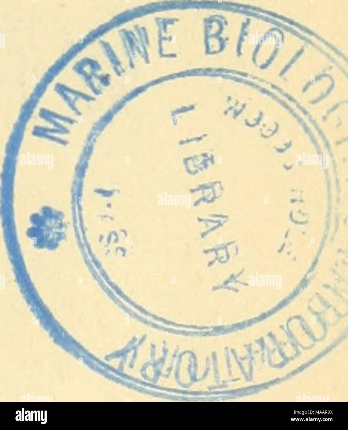 . The earth and its inhabitants .. . ILLUSTRATED BY NUMEROUS ENGRAVINOS ...