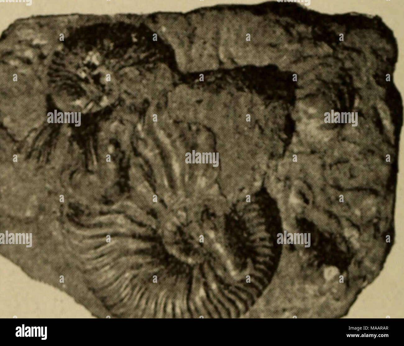 . The earth in past ages Stock Photo - Alamy