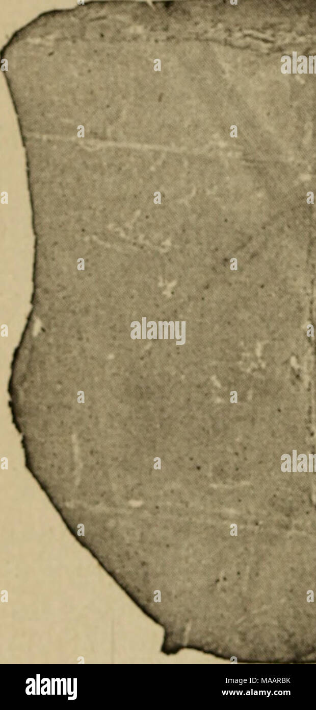 Lithographic limestone formation hi-res stock photography and images ...