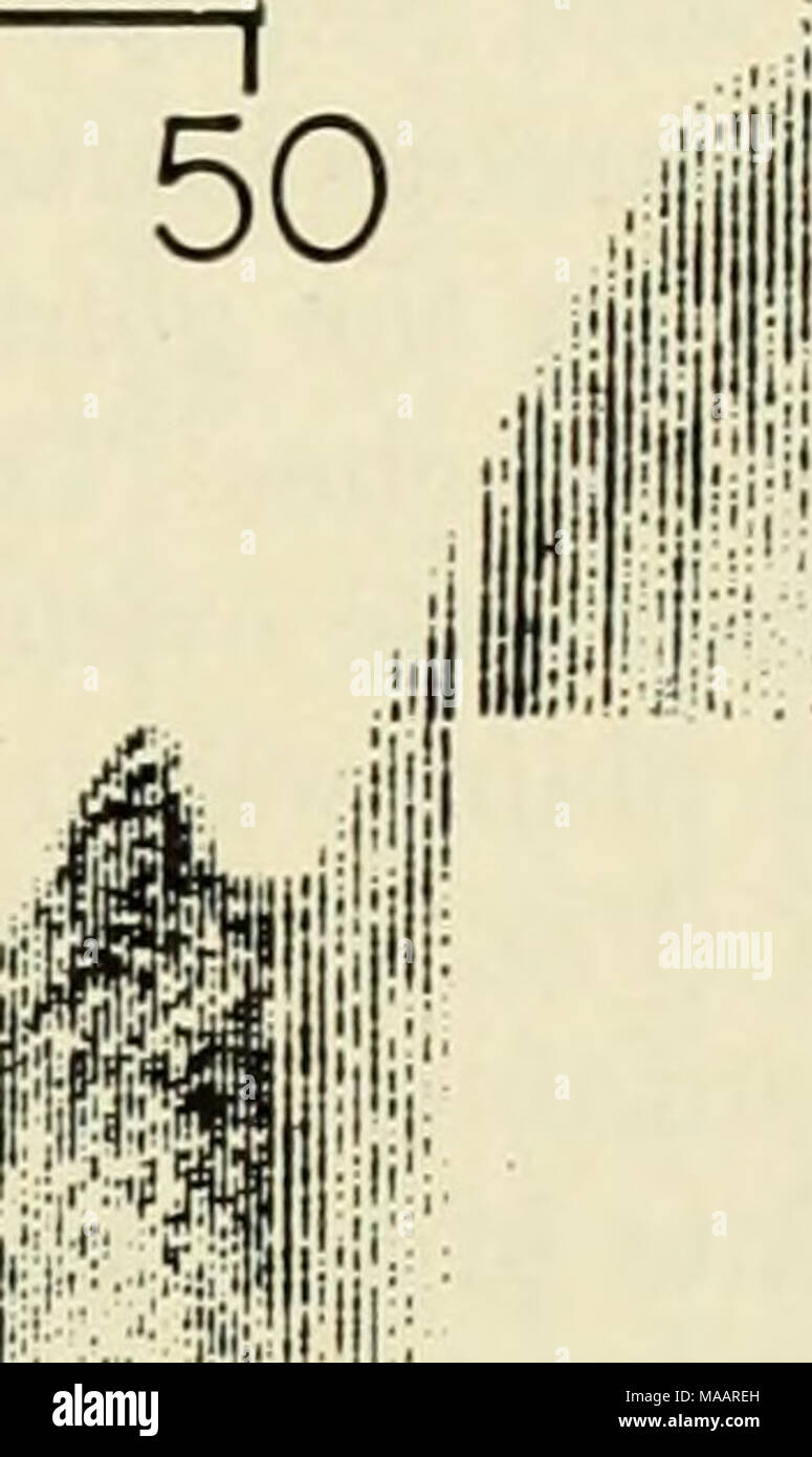 Puerto rico trench hi-res stock photography and images - Alamy