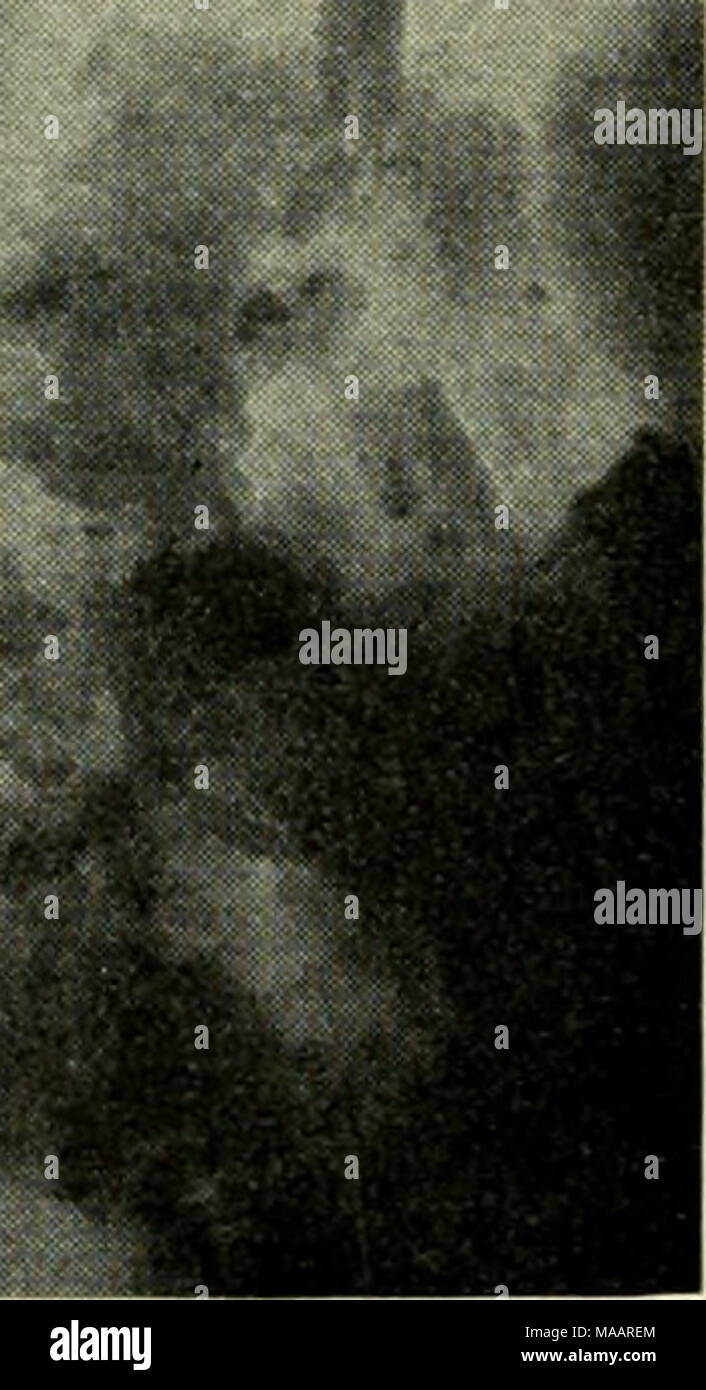 Sediment_deposition hi-res stock photography and images - Alamy