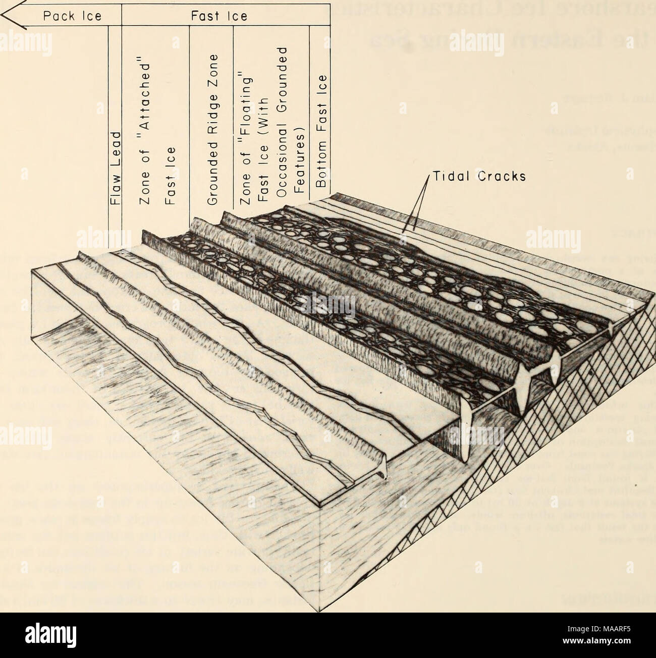 . The Eastern Bering Sea Shelf : oceanography and resources / edited by ...