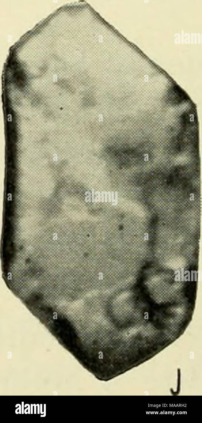 . The Earth beneath the sea : History . Fig. 13. Authigenic ...