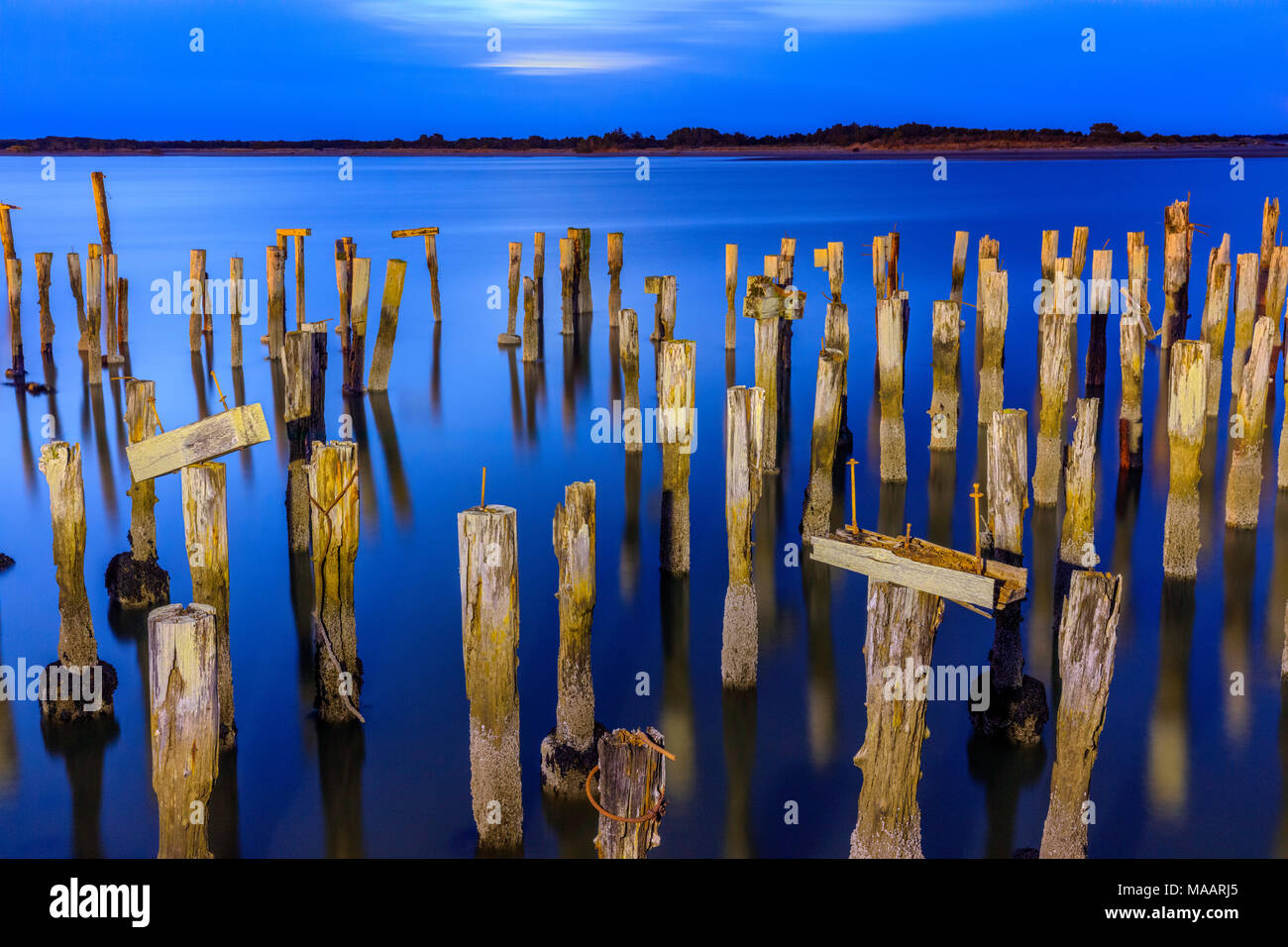 Dock pilings at Bandon Beach on the Oregon Coast Stock Photo - Alamy