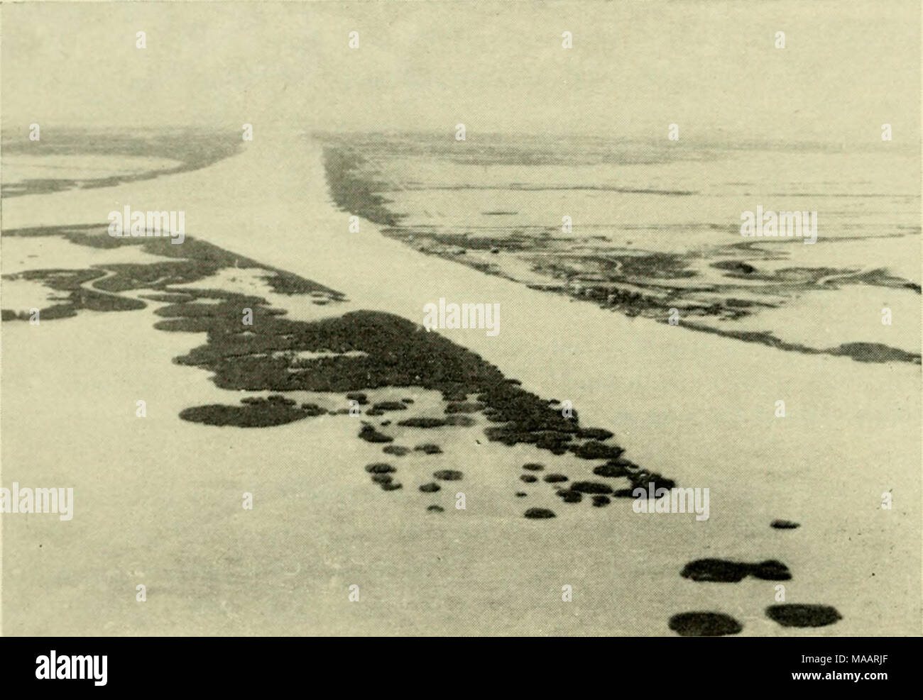 Mississippi birdfoot delta hi-res stock photography and images - Alamy