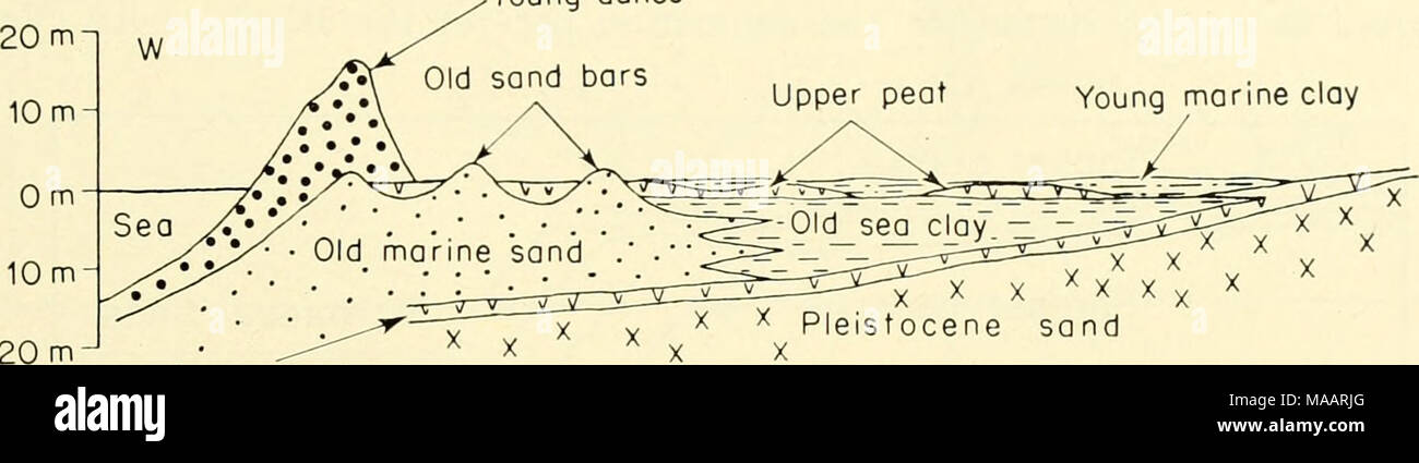 . The Earth beneath the sea : History . X A A '^ â ^ X X ^ Pleistocene ...