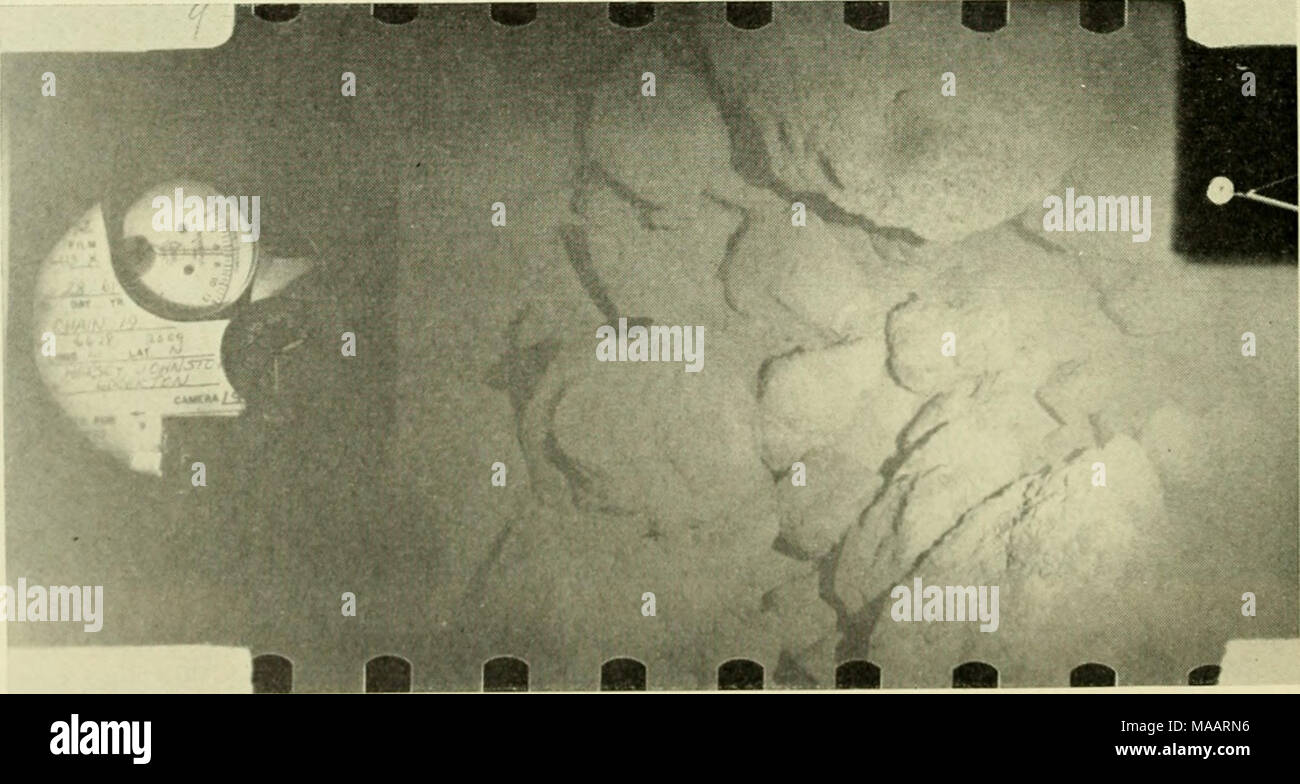 Puerto Rico Trench High Resolution Stock Photography and Images - Alamy