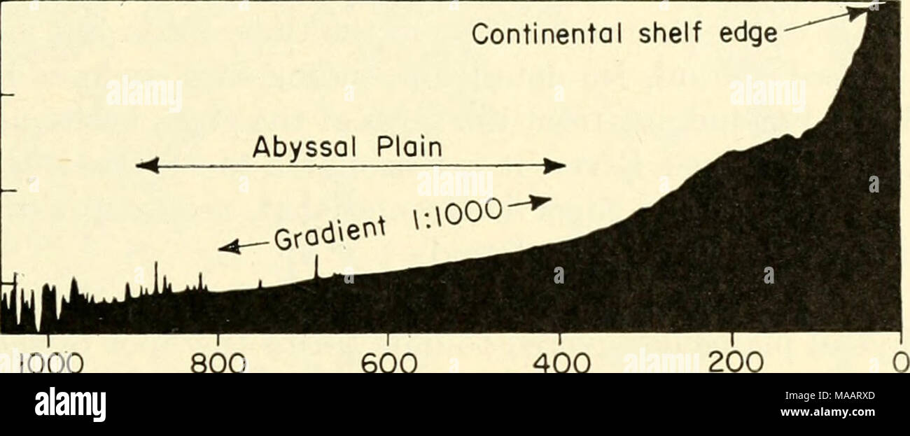 Abyssal Plain Definition