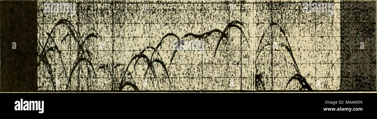 . The Earth beneath the sea : History . West Abyssal Hills East Fig. 1 ...