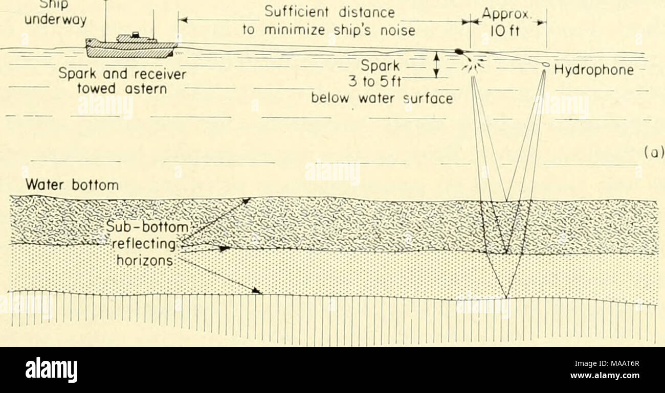 What Is A Hydrophone: What Is A Hydrophone Device – PPWBP