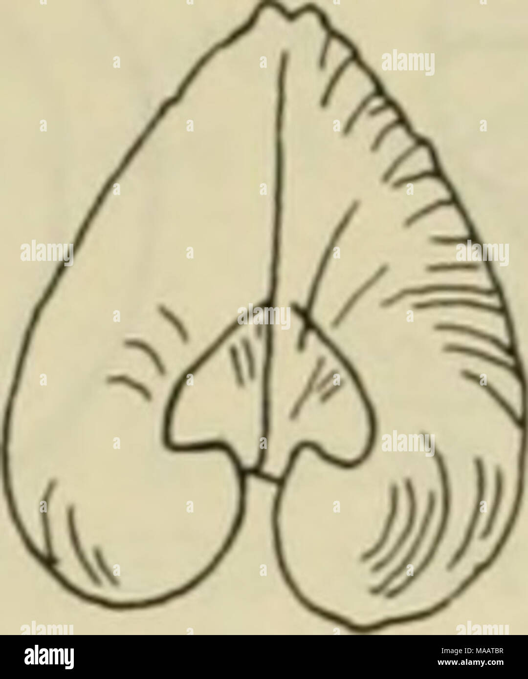 Valves forms hi-res stock photography and images - Alamy