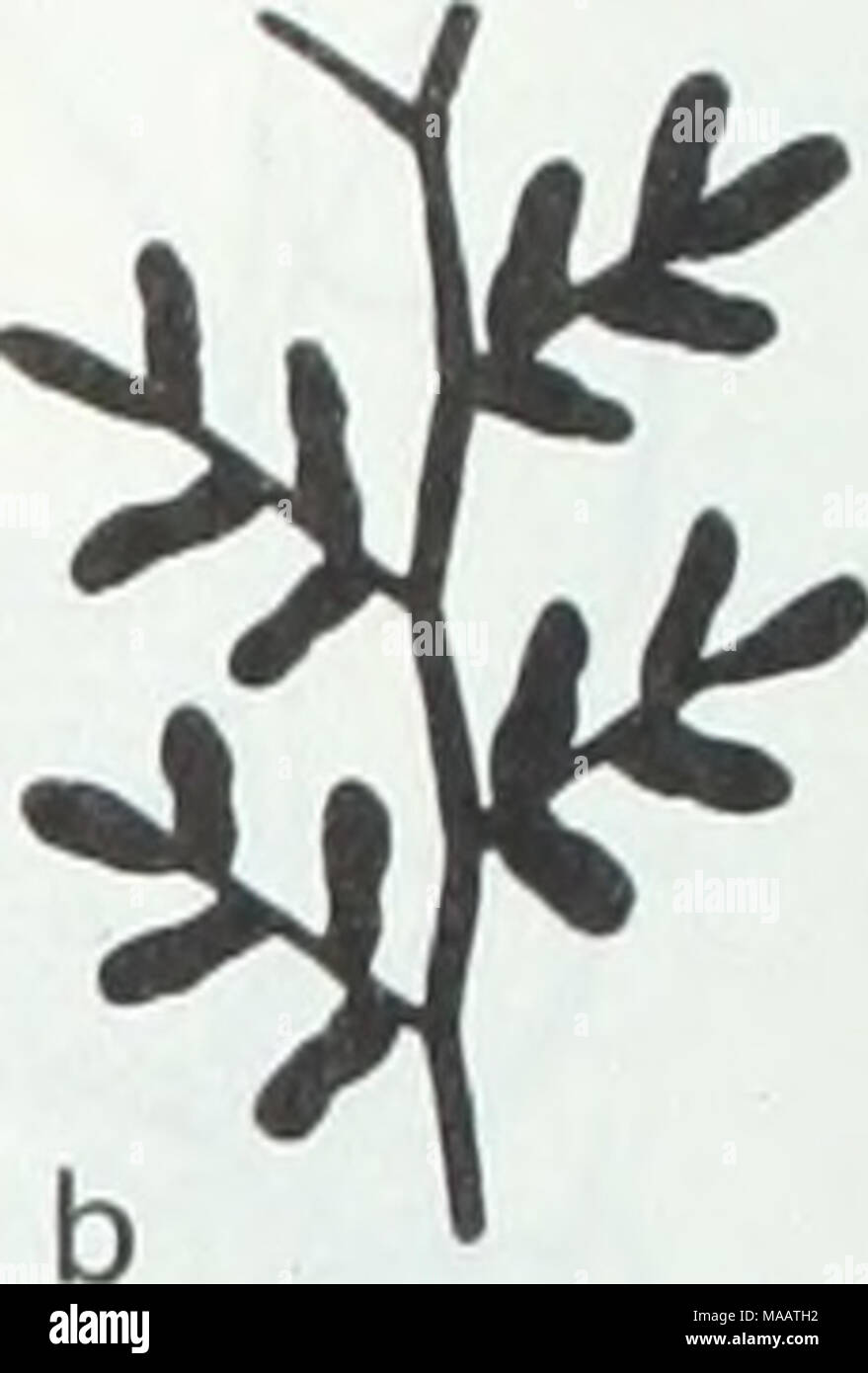 . Early Pennsylvanian paleotopography and depositional environments ...