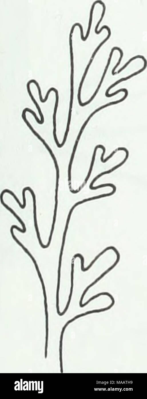 . Early Pennsylvanian paleotopography and depositional environments ...