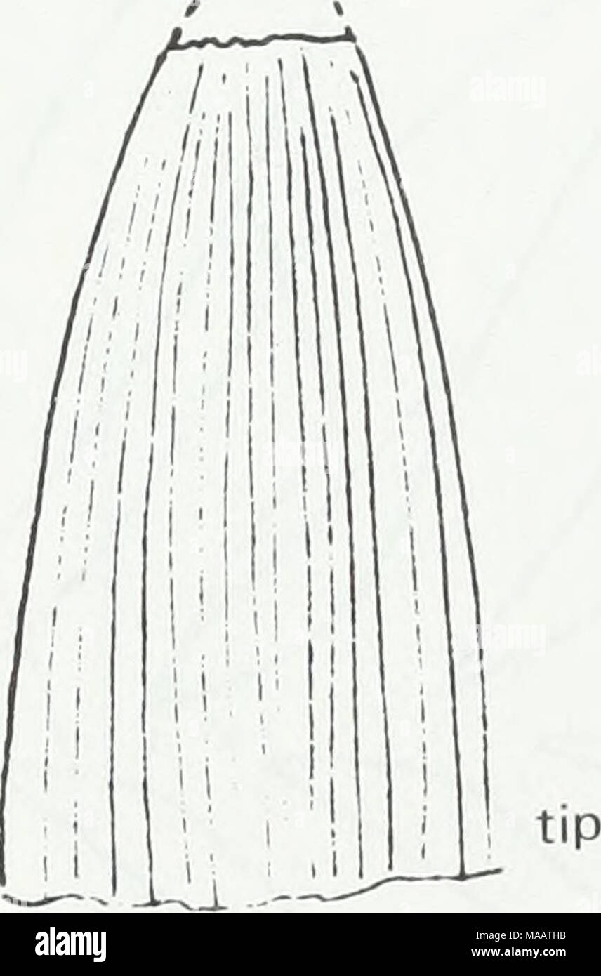 . Early Pennsylvanian paleotopography and depositional environments ...