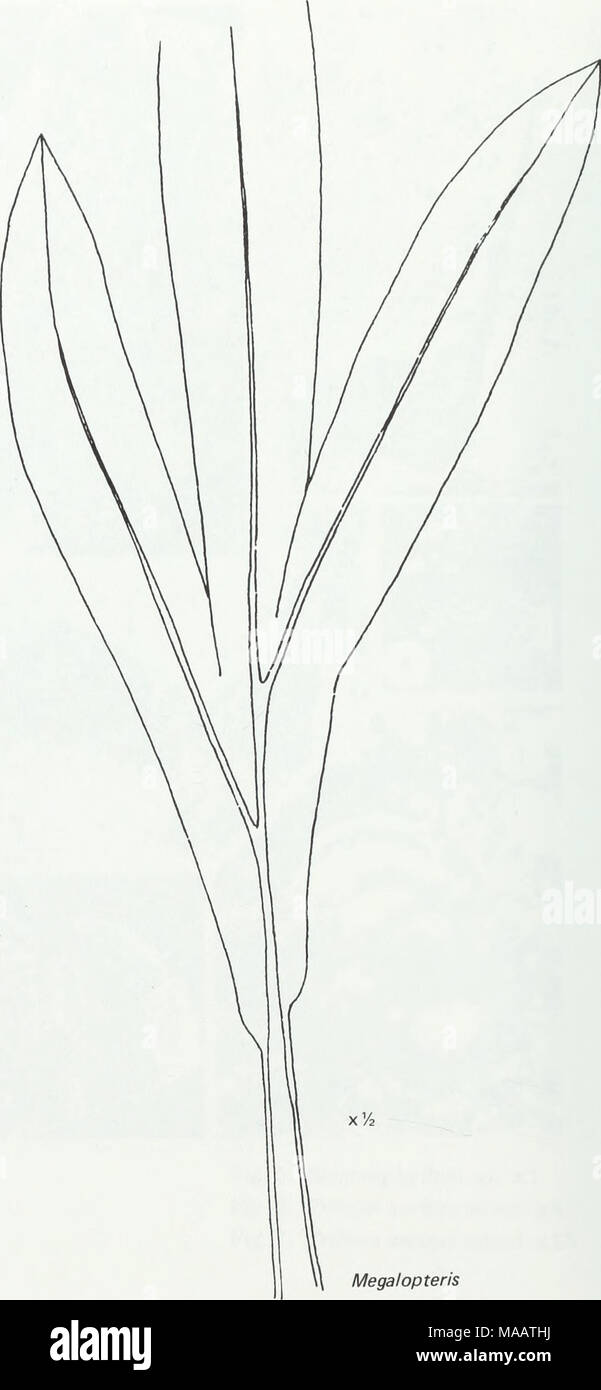 . Early Pennsylvanian paleotopography and depositional environments ...