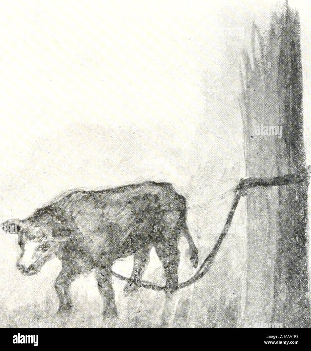 Kept in the loop hi-res stock photography and images - Alamy