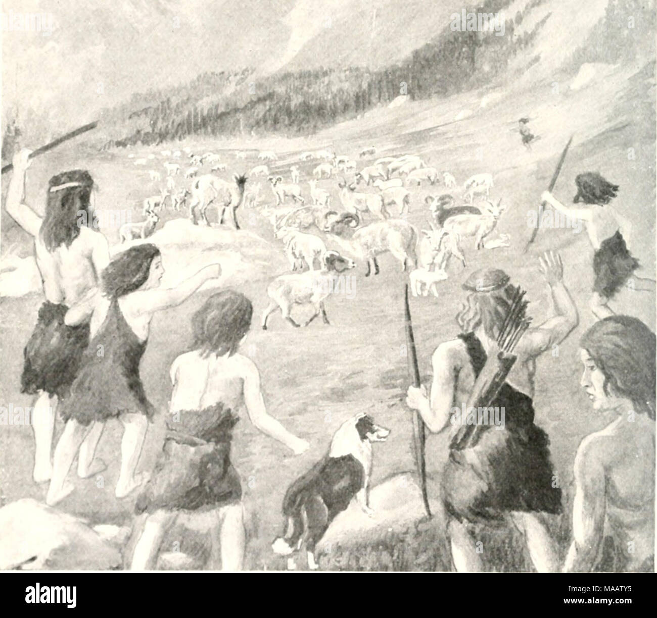 Domestication prehistoric hi-res stock photography and images - Alamy