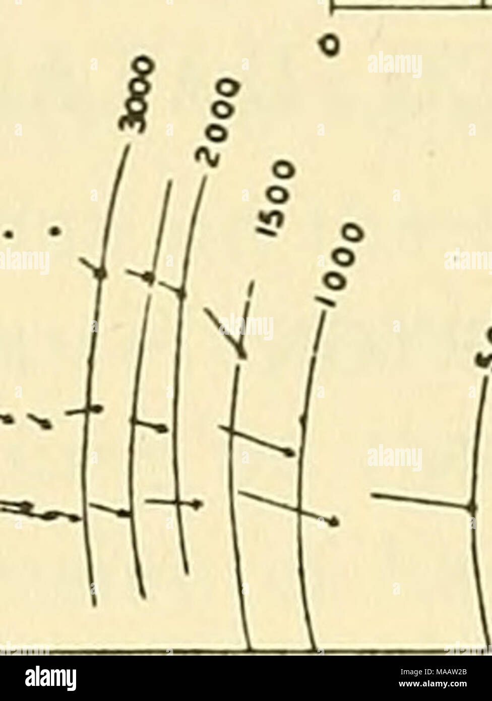 Arrows In Surveying
