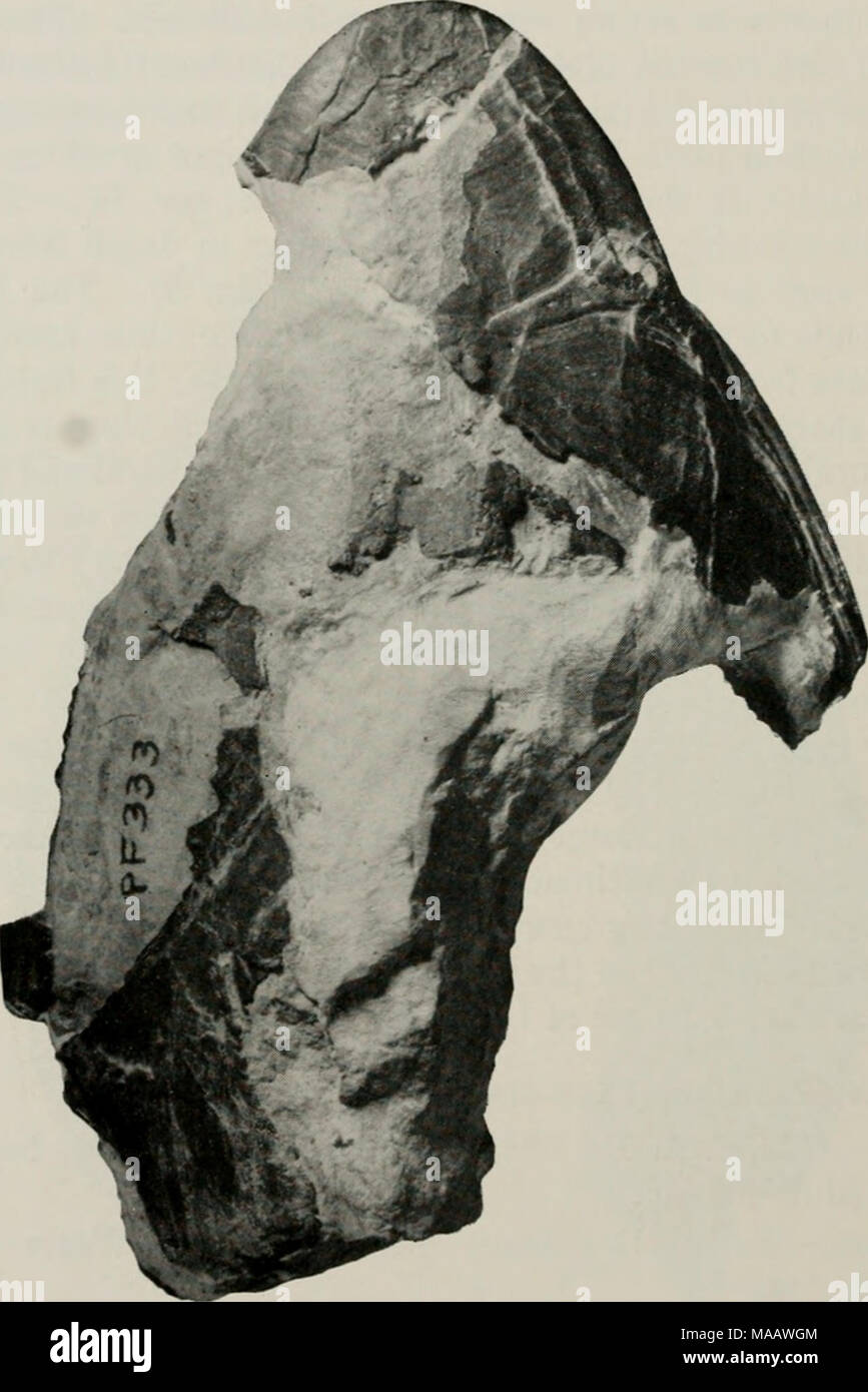 116 104 hi-res stock photography and images - Alamy