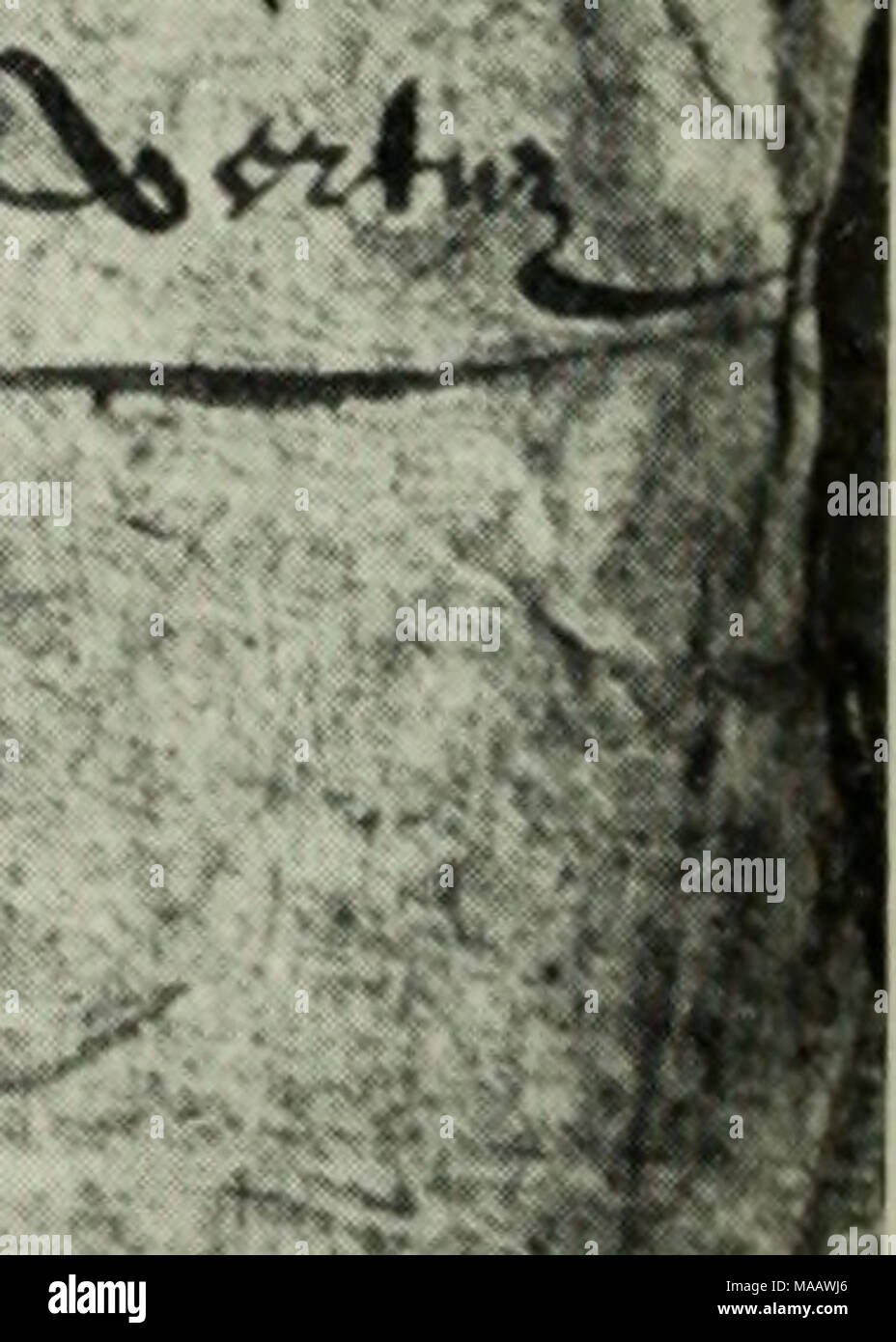 . Early British botanists and their gardens . SONNIlT dedicated to lob ...