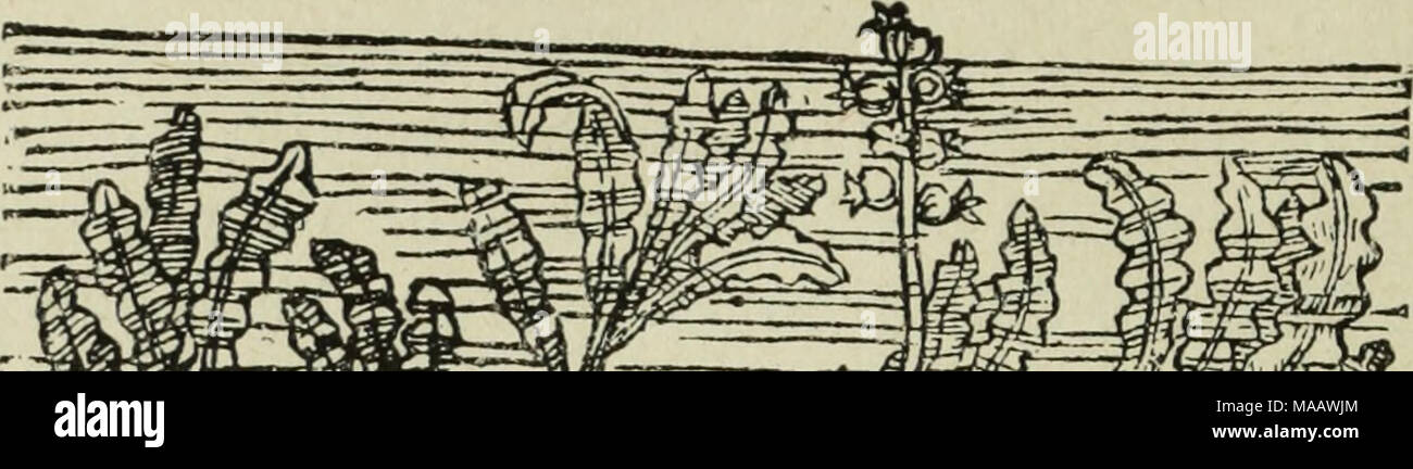 . Early British botanists and their gardens Stock Photo - Alamy