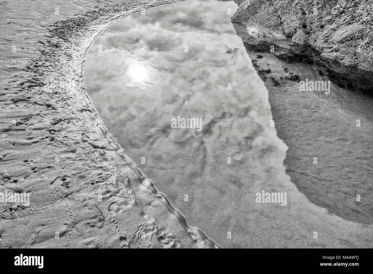 Oregon coast tidal pools hi-res stock photography and images - Alamy