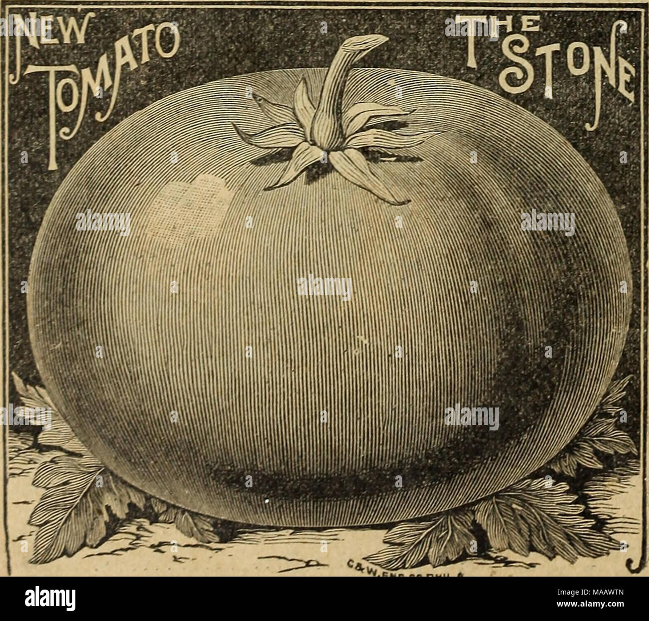 Annabil hi-res stock photography and images - Alamy