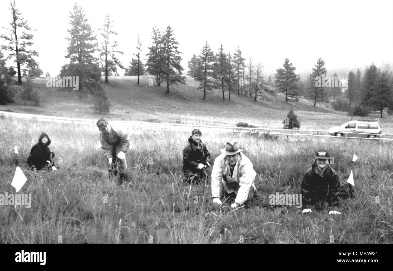 . Statewide roadside vegetation management plan : integrated weed ...