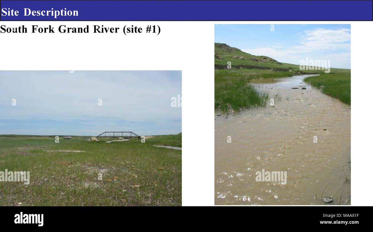 Aquatic surveys and assessment of the Slim Buttes region of Harding and ...