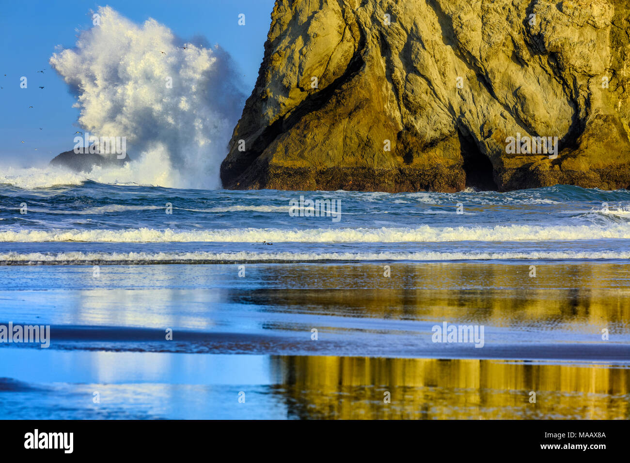 Bandon Beach on the Oregon Coast Stock Photo - Alamy